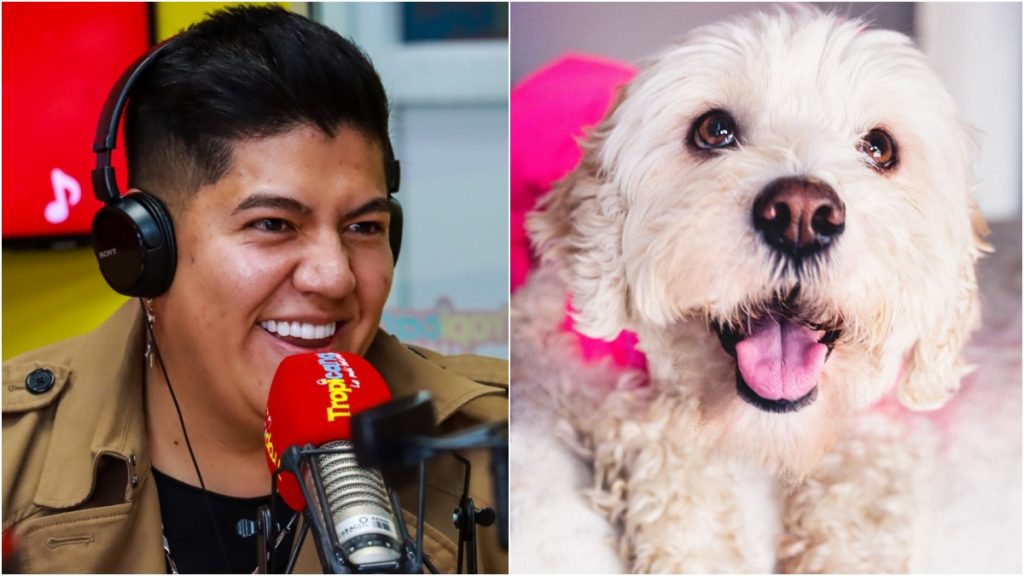 La desgarradora historia de la mascota del tiktoker Sebastián Moreno