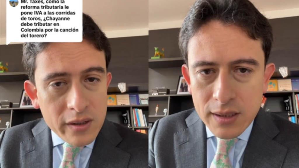 Director de la Dian, Luis Carlos Reyes, respondió si Chayanne debe ...