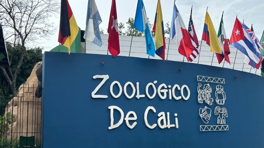¿Qué cuesta la entrada en el Zoológico de Cali?