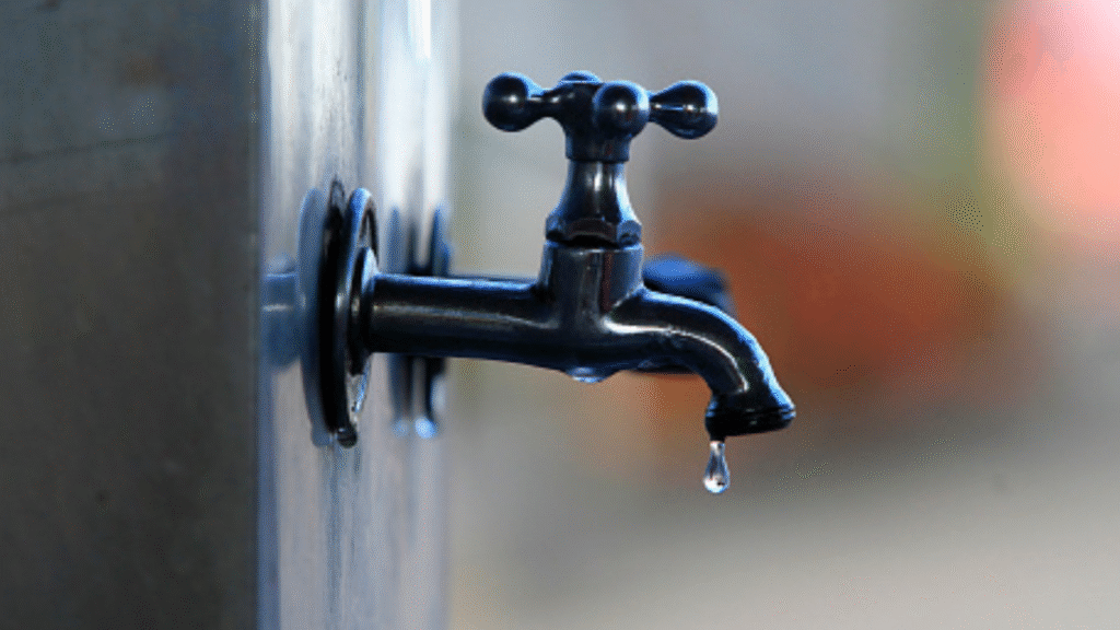 Letra completa de No puedo vivir sin él, canción con la que Karol G debutó en el vallenato