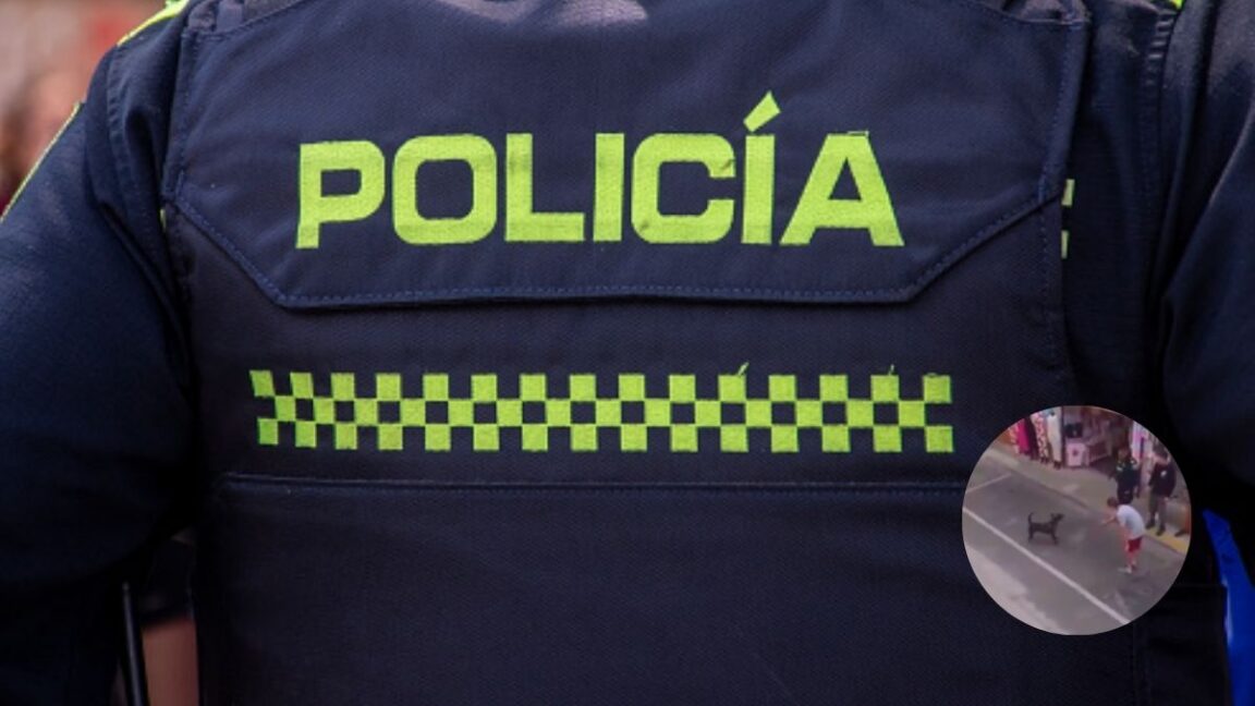 ¿Por qué en Colombia los militares no pueden votar y los presidiarios ...